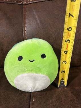 Squishmallows | Toys | Squishmallows Henry The Turtle 5 Plush | Poshmark